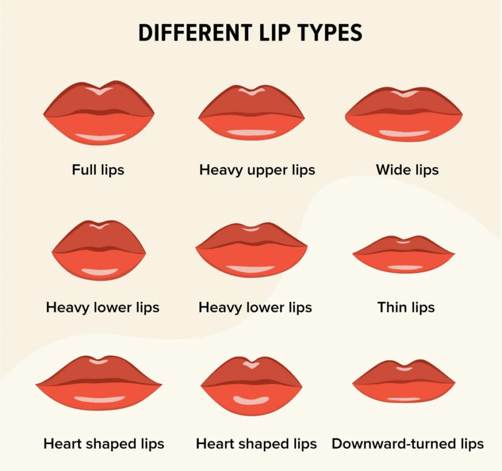 Types Of Lip Shape – A Comprehensive Guide
